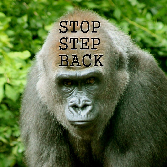 STOP STEP BACK | DIANA J. ROBERTS | Roberts and Partners