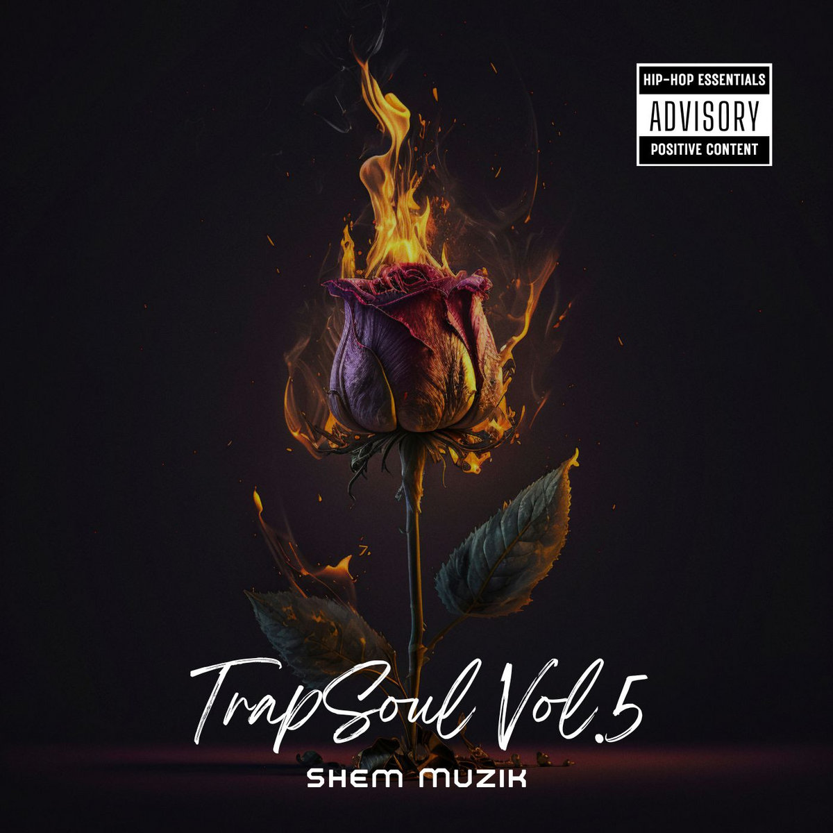 TrapSoul Vol.5 Sample Pack | Shem Muzik