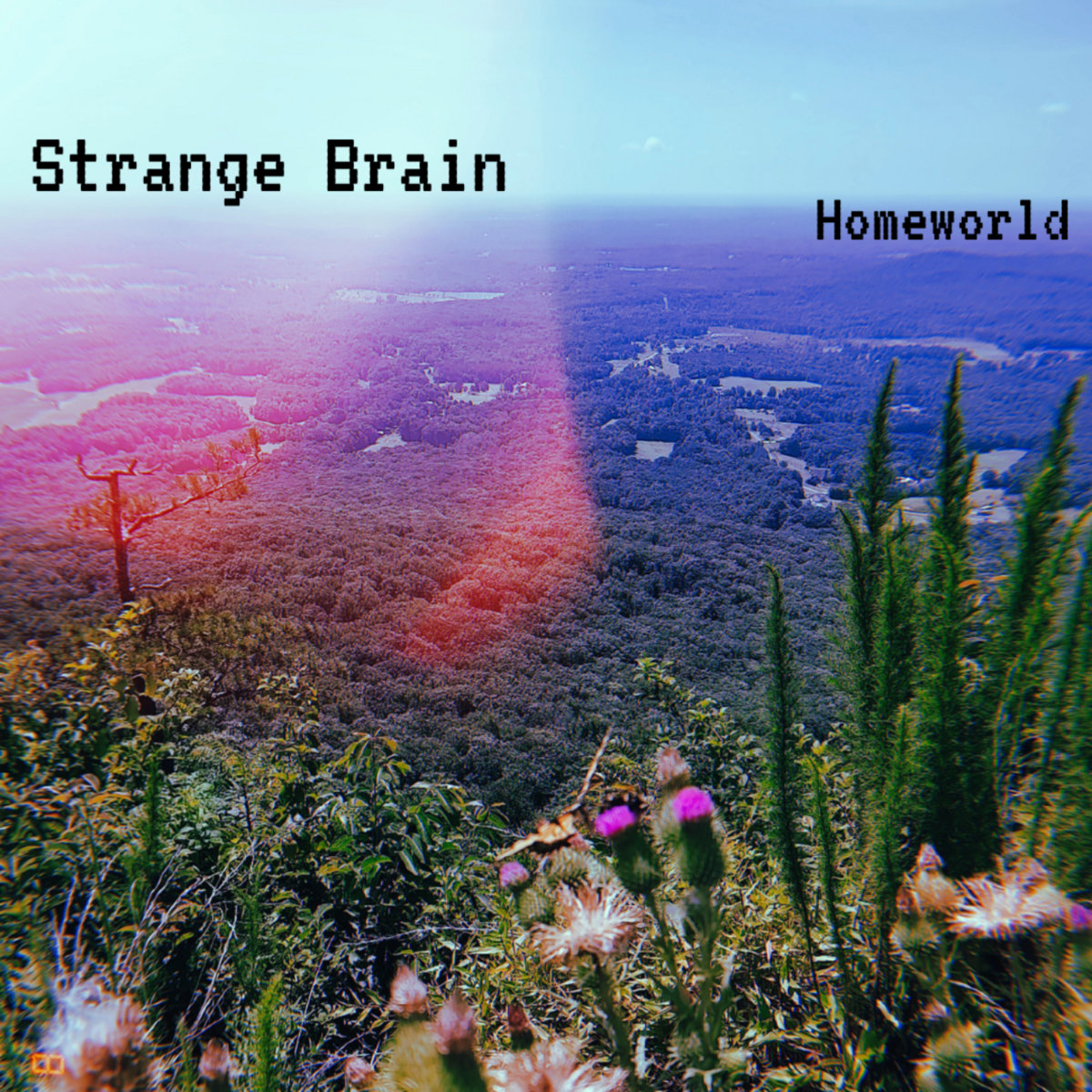 Homeworld | Strange Brain