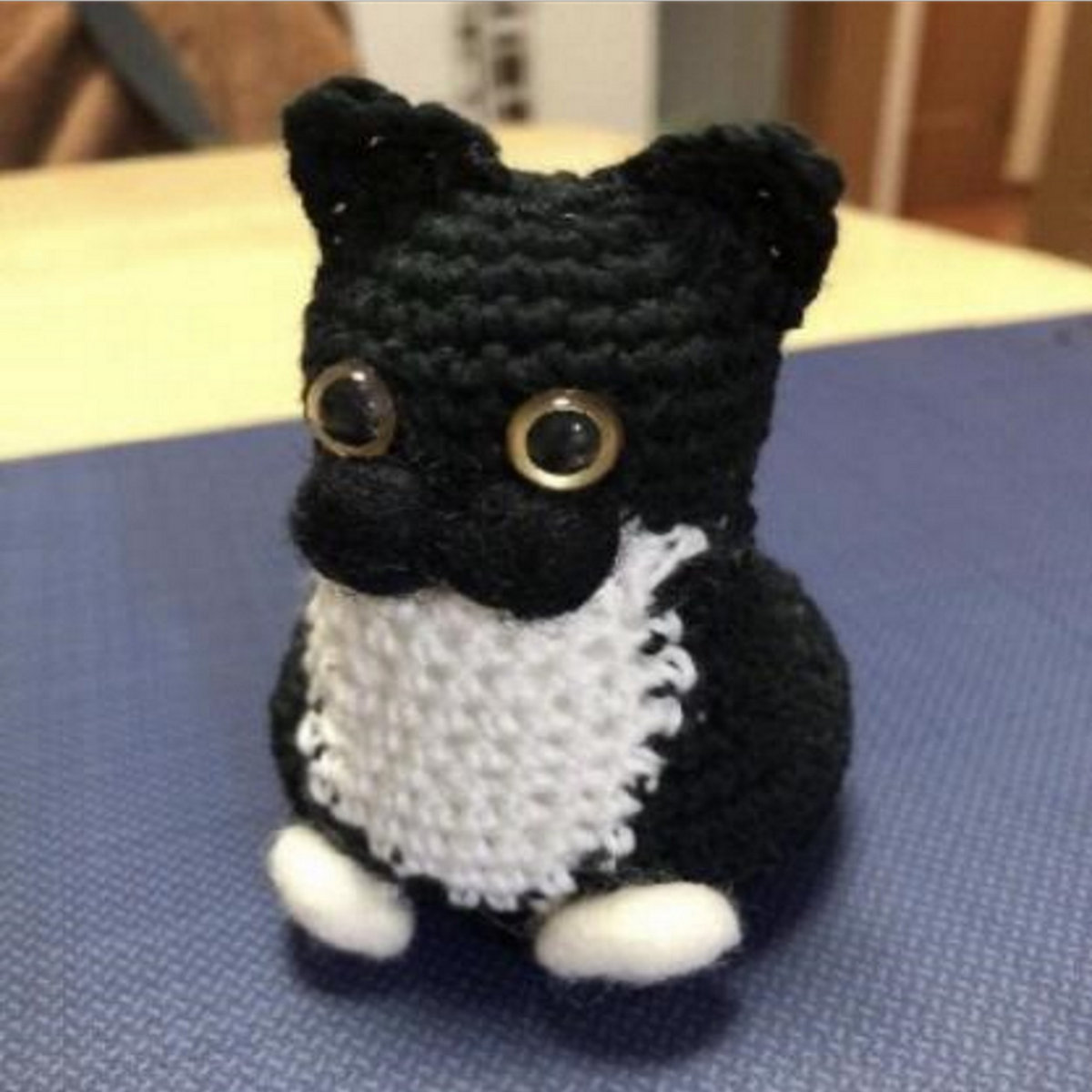 holy crackers | cluttered cat