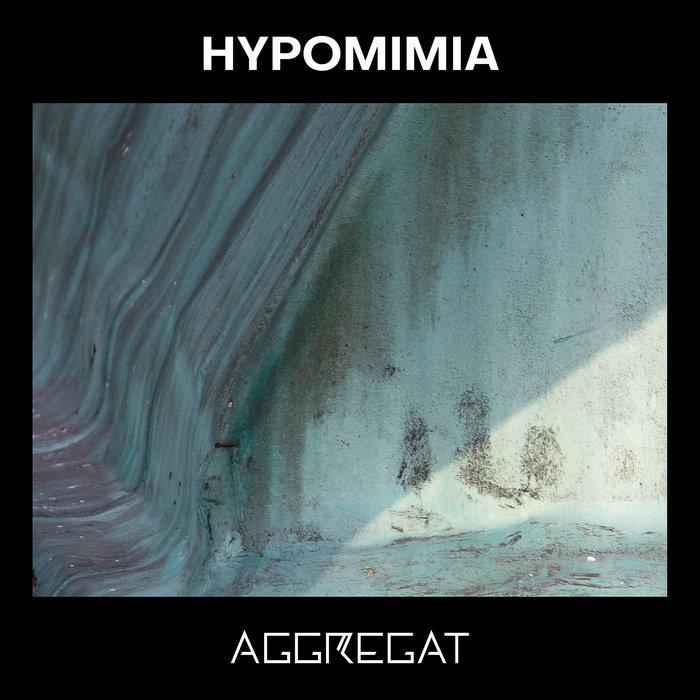 Hypomimia single edit | Aggregat