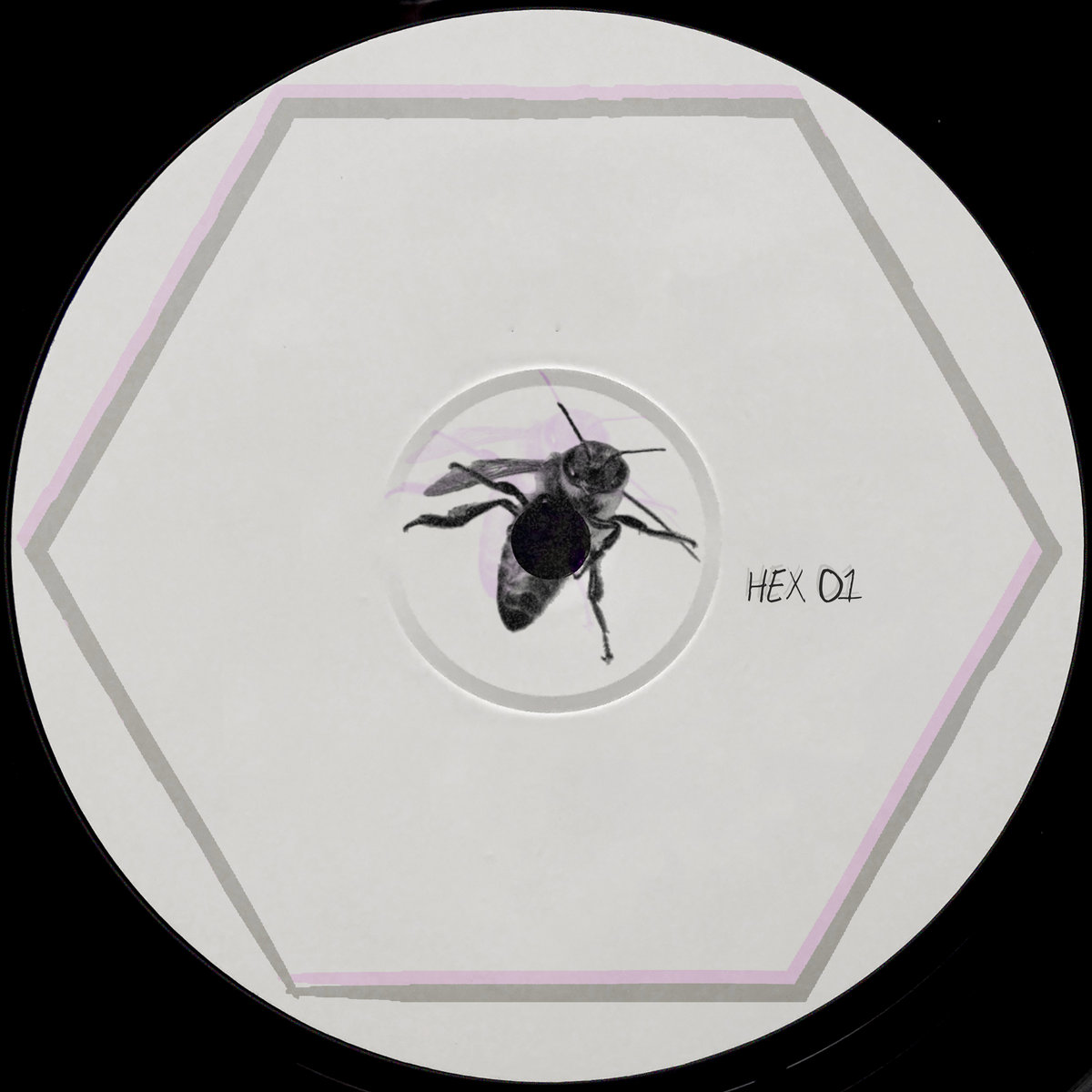 HEX 01 [SHX001] | Unknown Artist | STUP