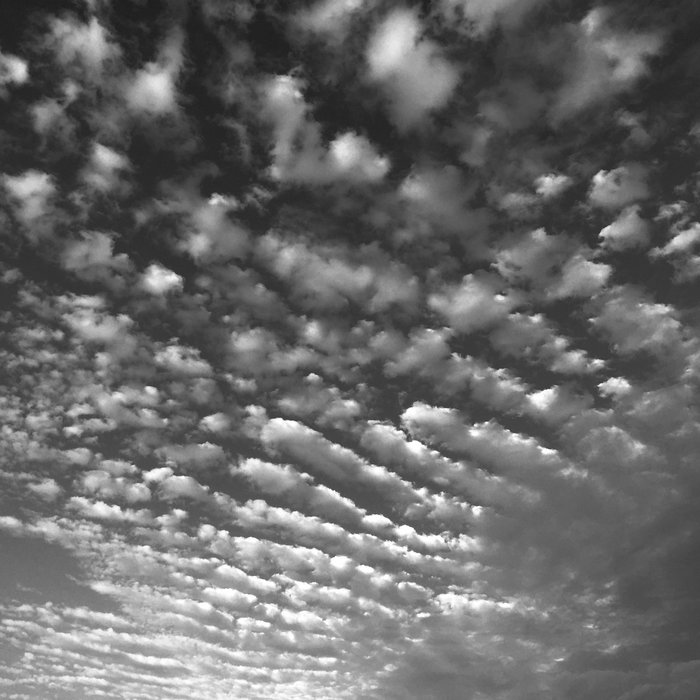 Music For Sleeping Circling Crows music-for-sleeping-circling-crows