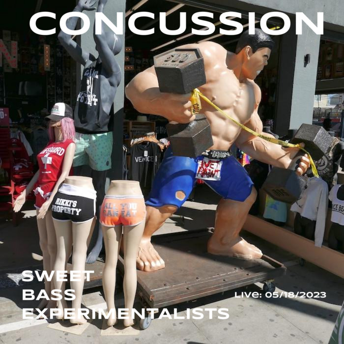 Concussion | Sweet Bass Experimentalists | Sweet Base