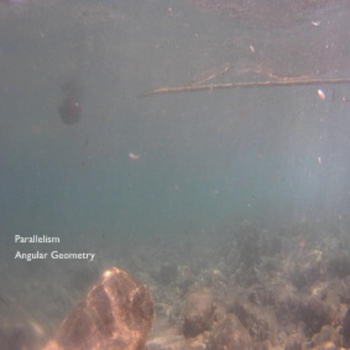 Angular Geometry | Parallelism | Shimmering Moods Records
