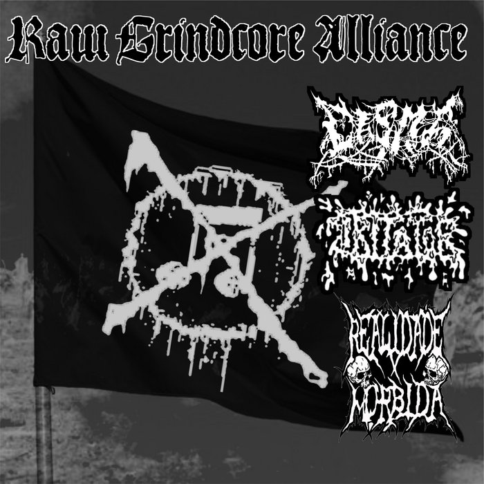 Raw Grindcore Alliance (3-Way Split) | Iritator