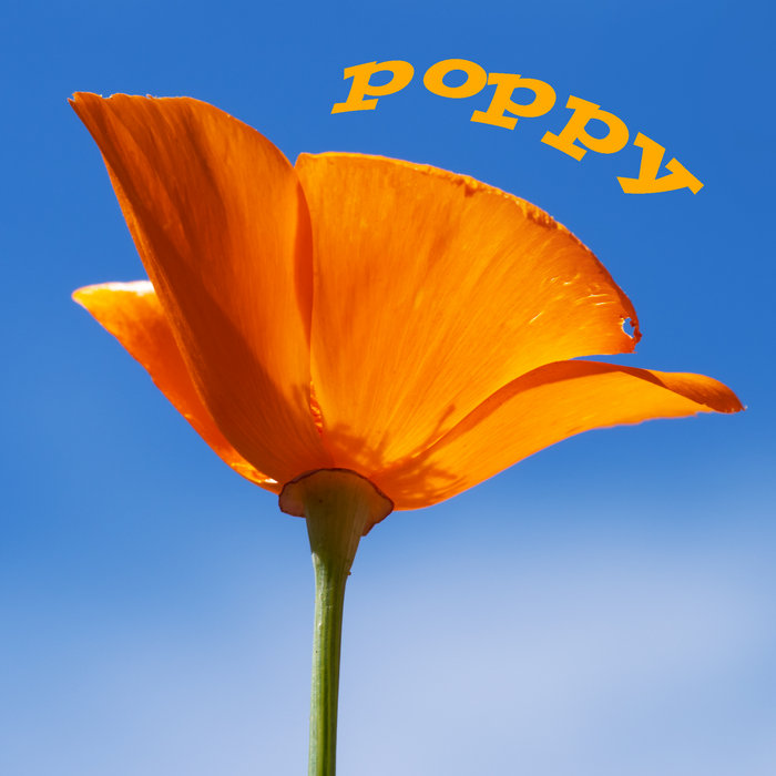 POPPY | Bottle Of Sound