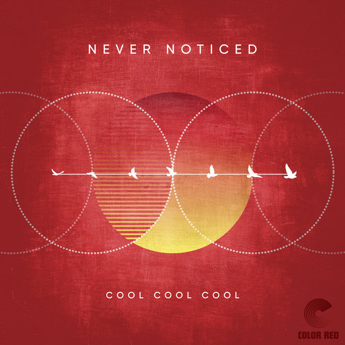 Never Noticed | Cool Cool Cool