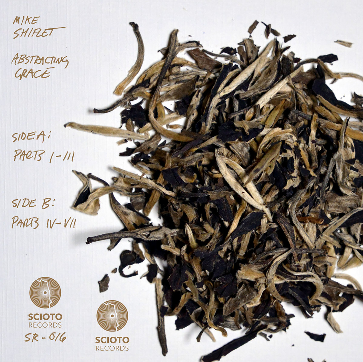 Abstracting Grace | Mike Shiflet | Scioto Records