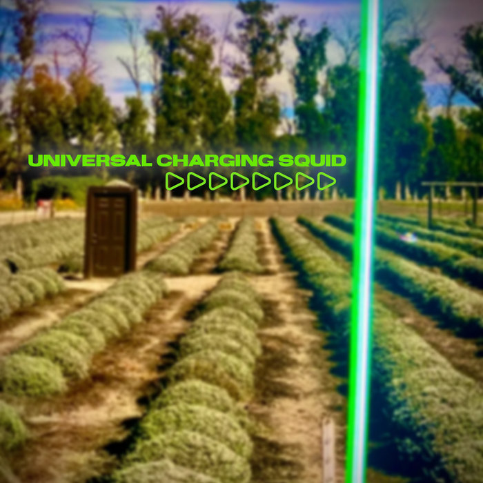 Universal Charging Squid | Universal Charging Squid