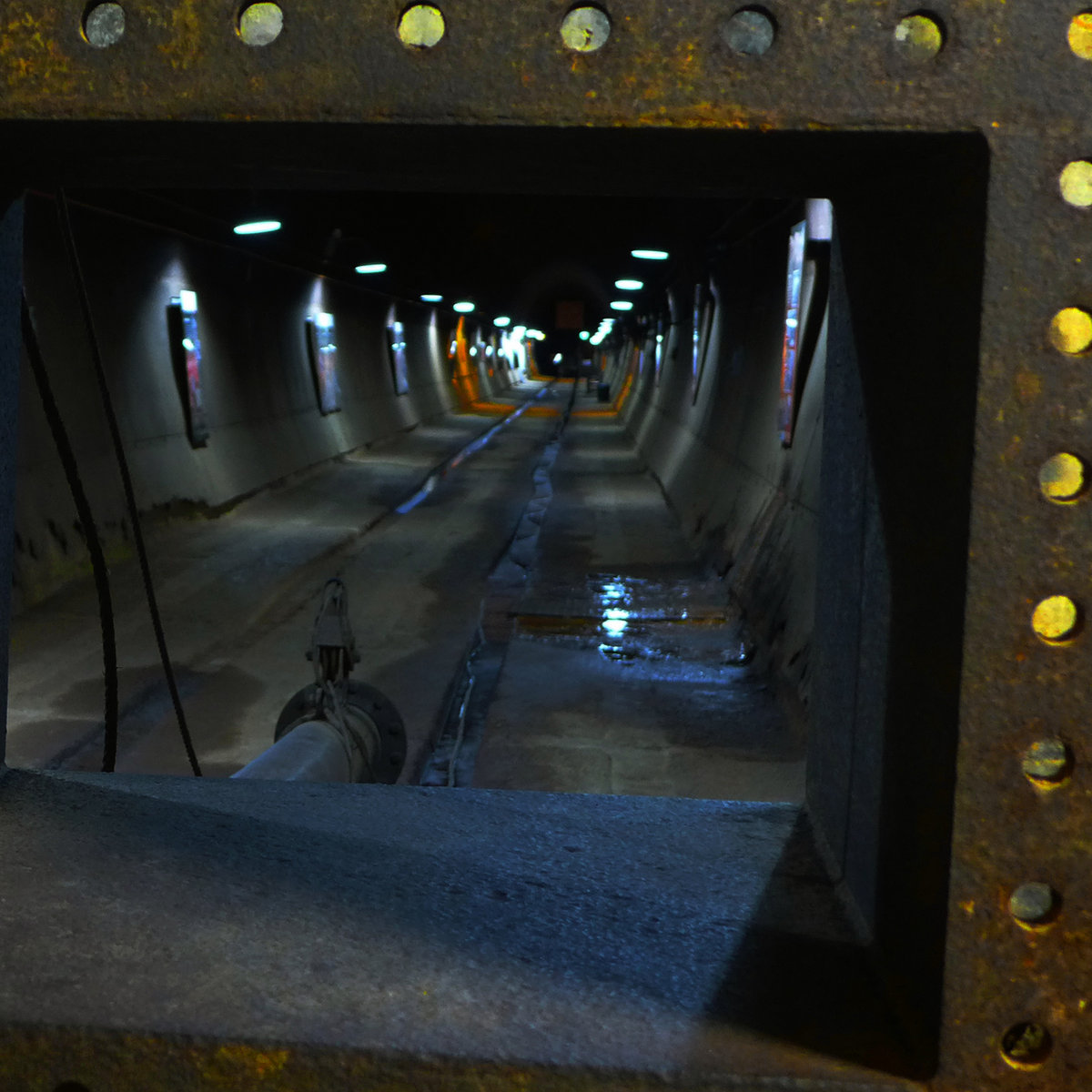 Lorrpu - White Cockatoo | Tunnel Number Five | Anne M Norman