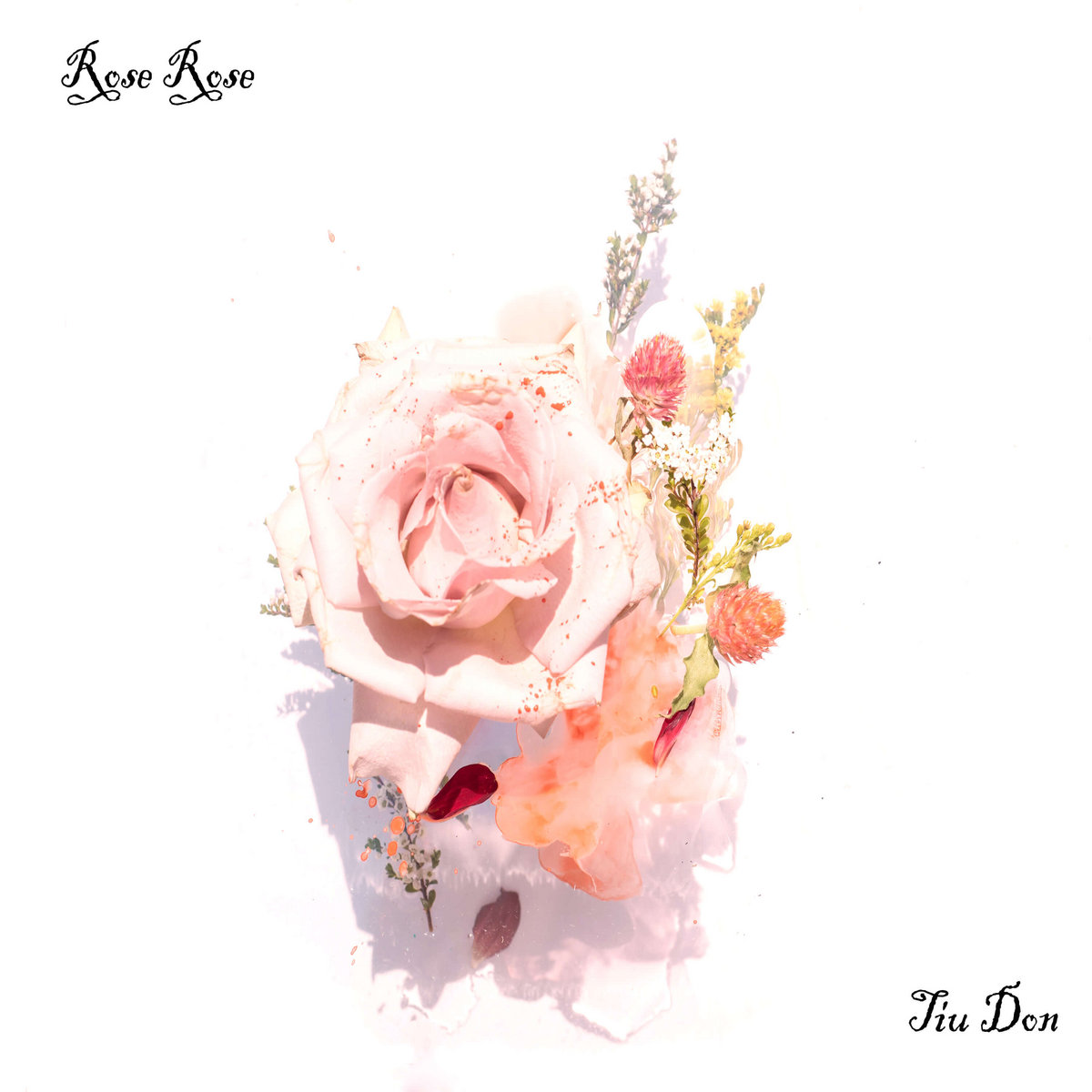 Rose Rose | Tiu Don