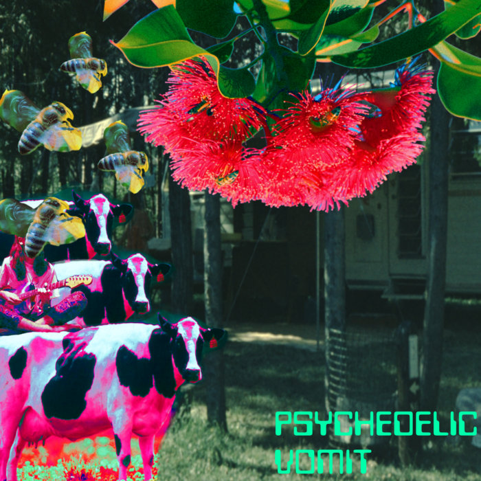 Psychedelic Vomit | cole krueger | lenora rose