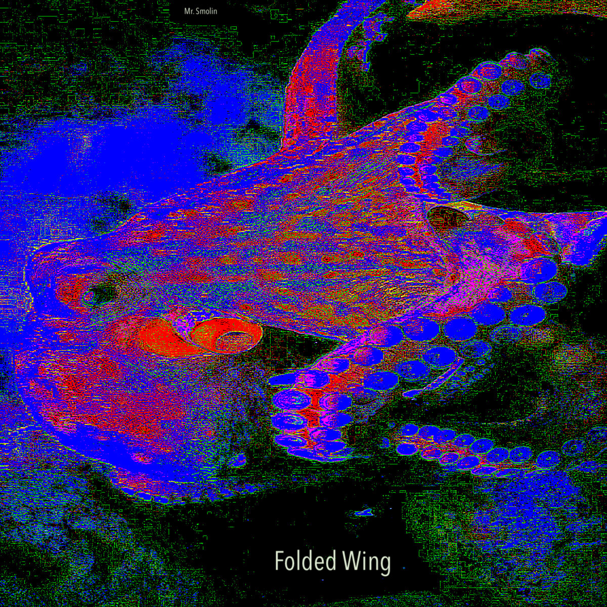 Folded Wing | Mr. Smolin