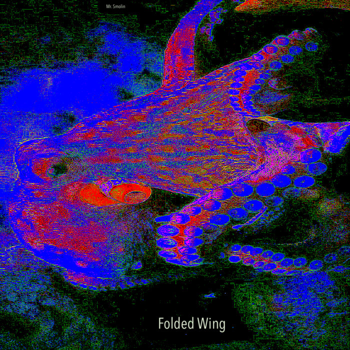 Folded Wing | Mr. Smolin
