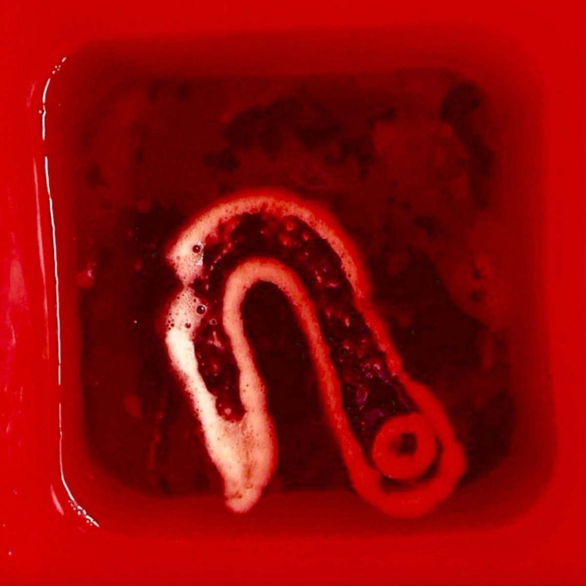 THEMES & OVERTURES (2022) | Caleb Miles