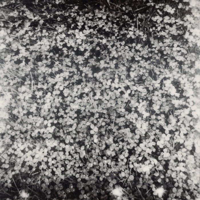 World Leaders | OTSG