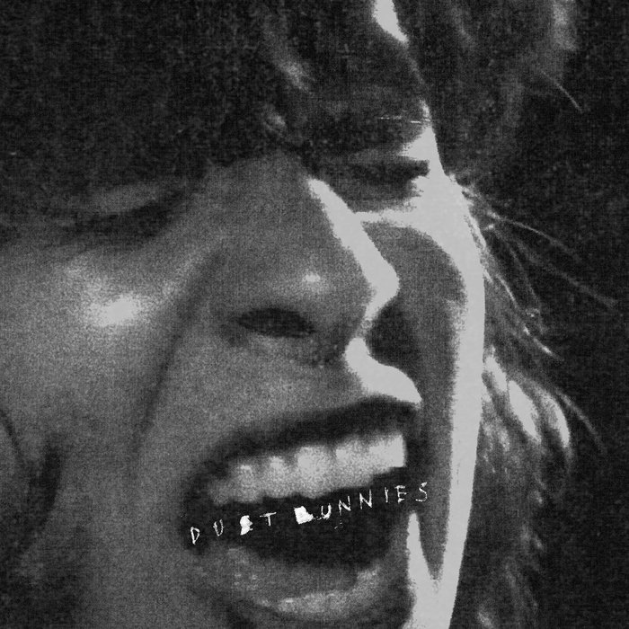 Dust Bunnies | Postcards