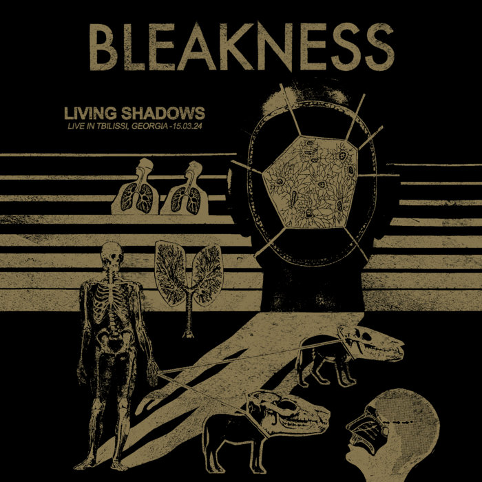 Living Shadows LIVE LP | Bleakness
