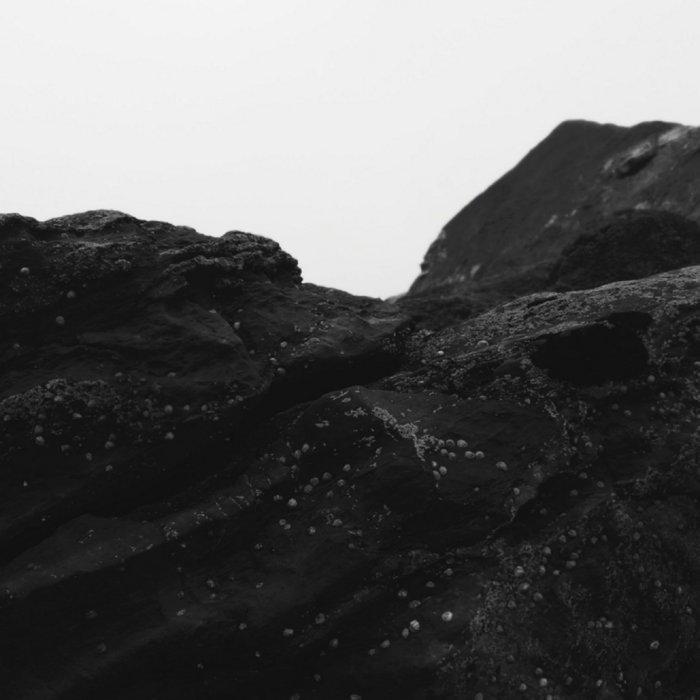 Morphing Particles | Zforms