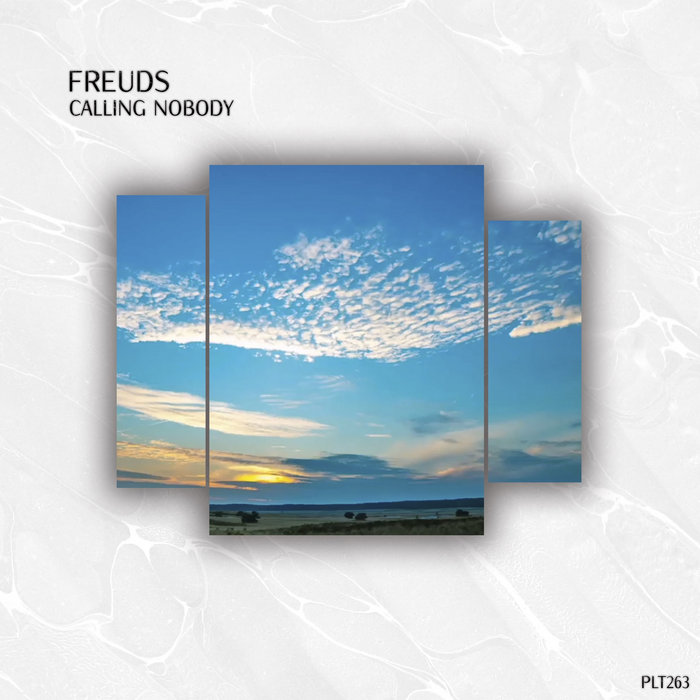 Calling Nobody | Freuds | Polyptych