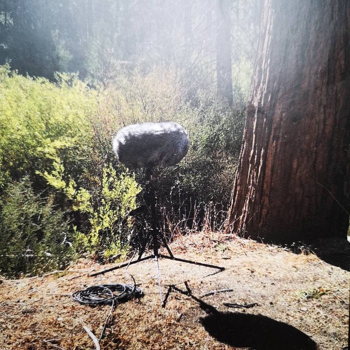 Early Works | Ian Wellman | Industrial Coast