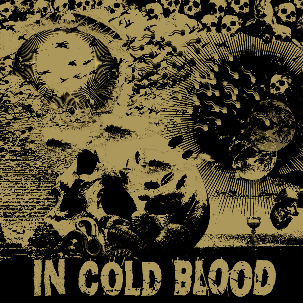 In cold blood - vicaweek
