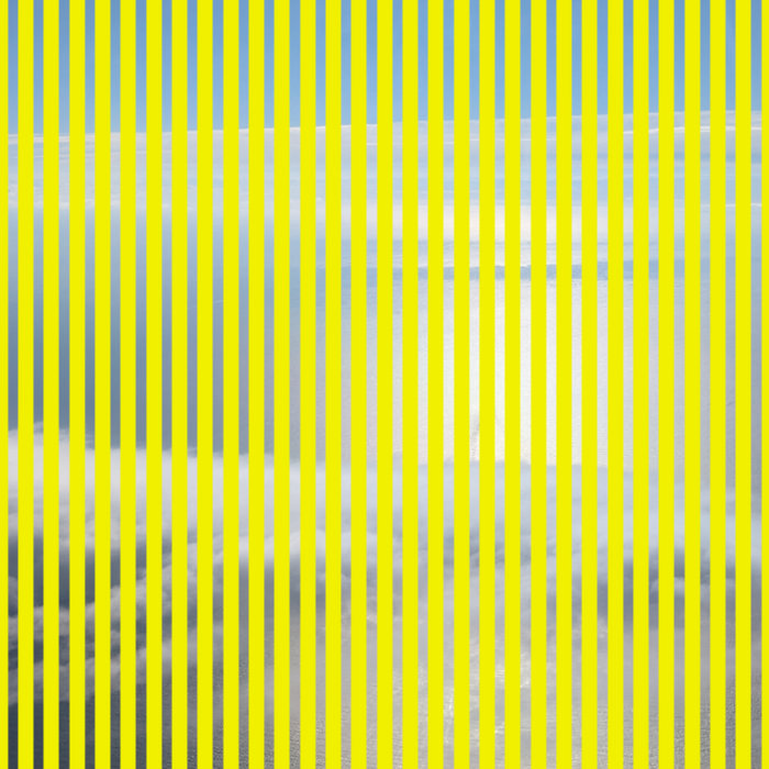 Breaches | Peter Stiegler