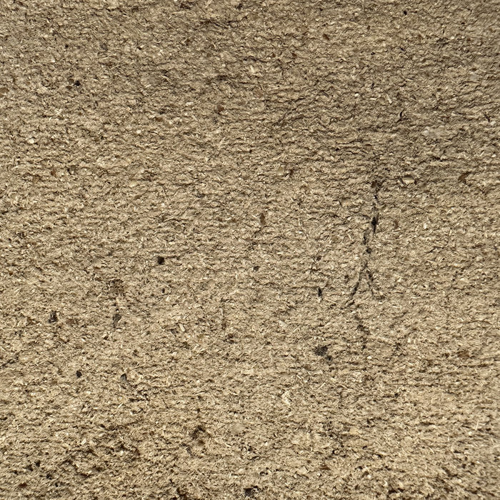 Myconautica | Corey Lyons & Reid Karris | Career Planet