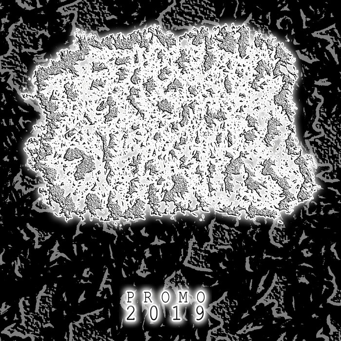 Promo 2019 | Disemboweling the Infected Entrails | Putrefacto Records III