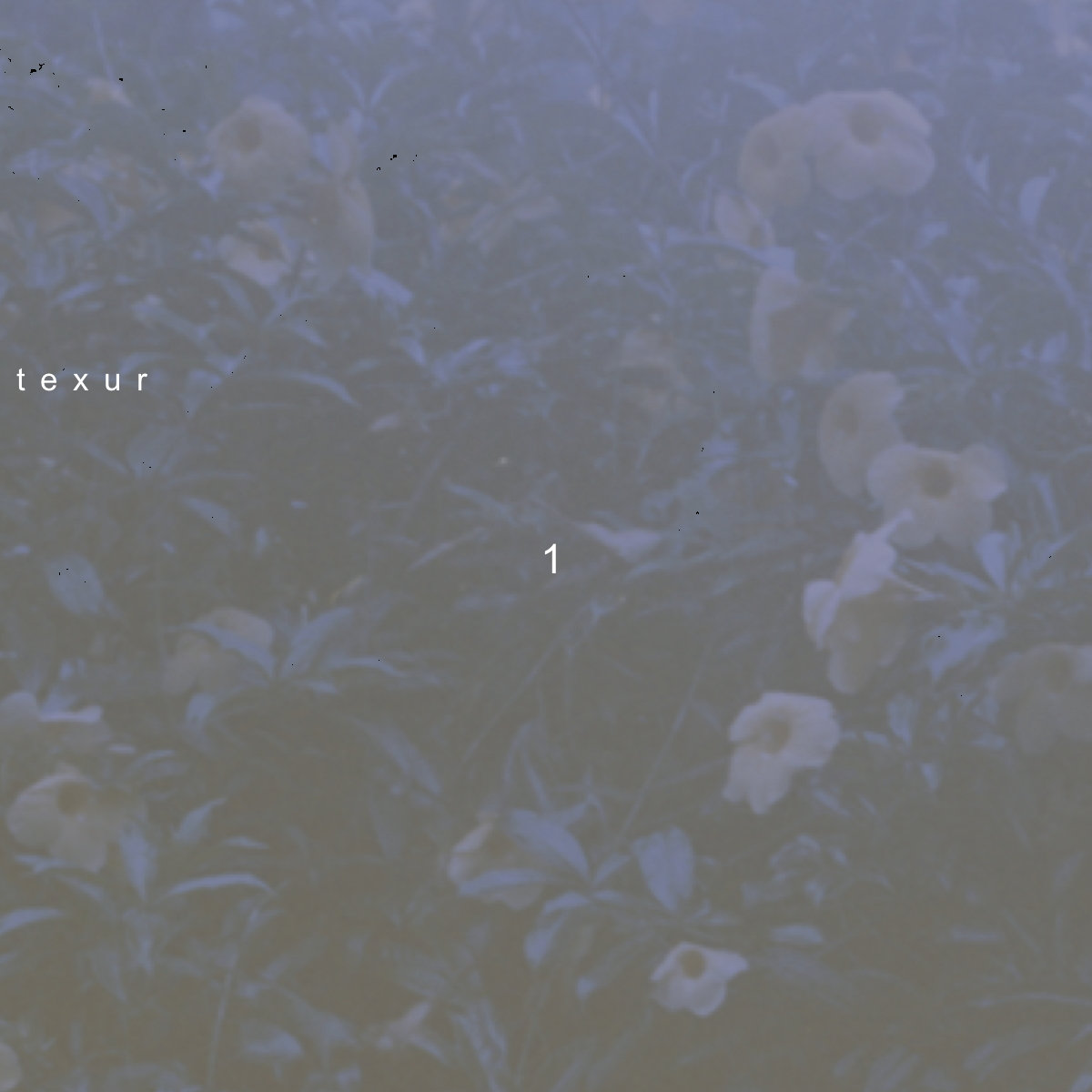 1 | texur