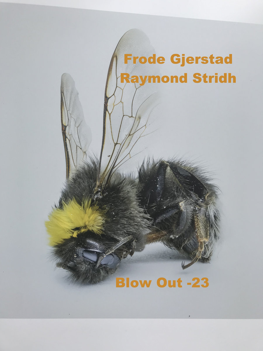 Blow Out -23 | Frode Gjerstad, Raymond Stridh | Frode Gjerstad