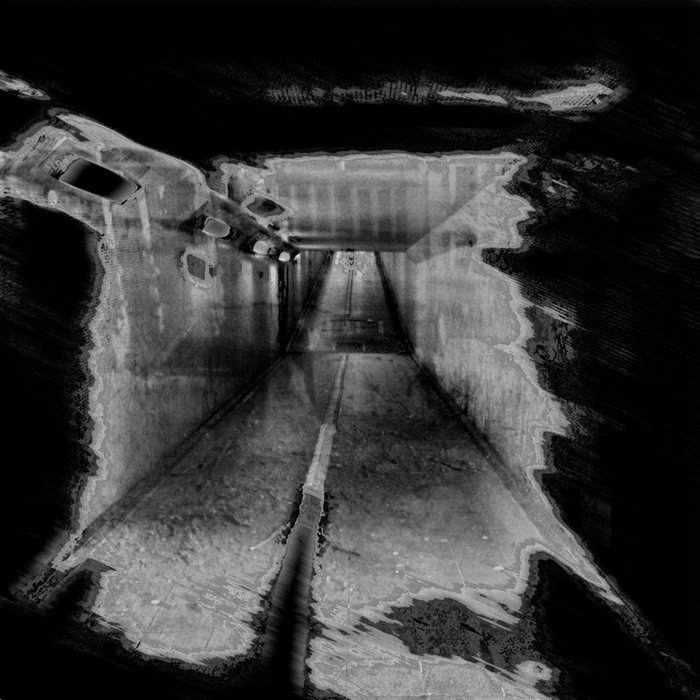 Disunion | Microdeform