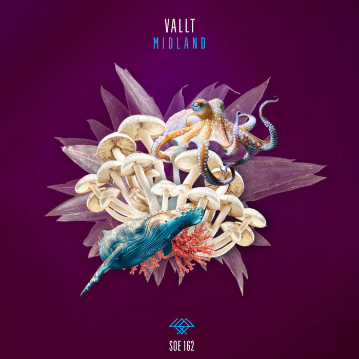 SOE162 Vallt - Midland | Vallt | Sounds of Earth