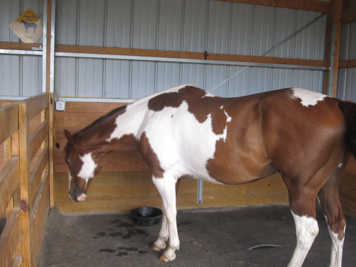 The Cartel | Jason BIble | Uncle Sam's Medicine Cabinet