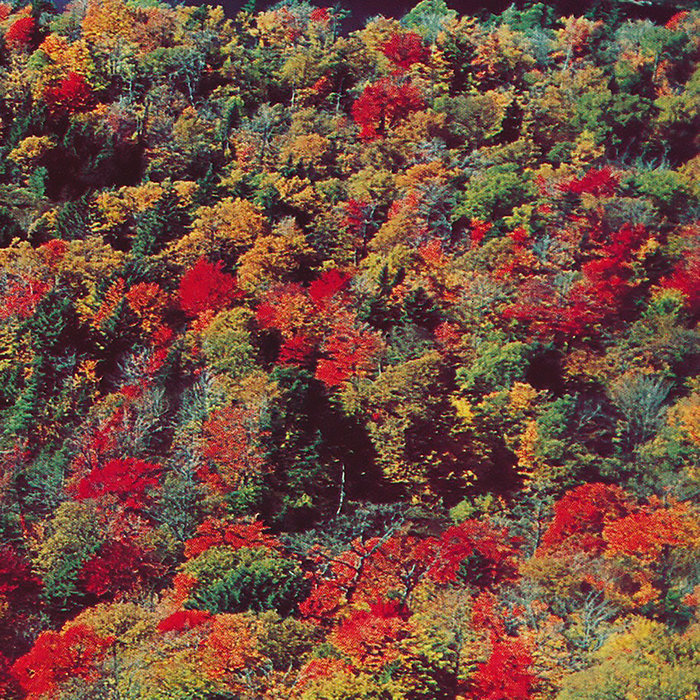 christ suplex - demo | Missed Out Records