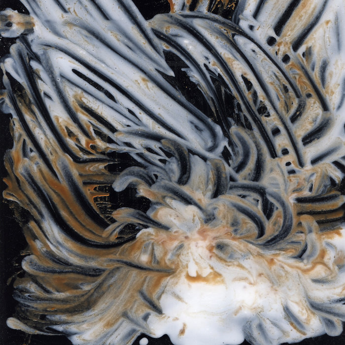 Le Lisse et le Strié | Kassel Jaeger