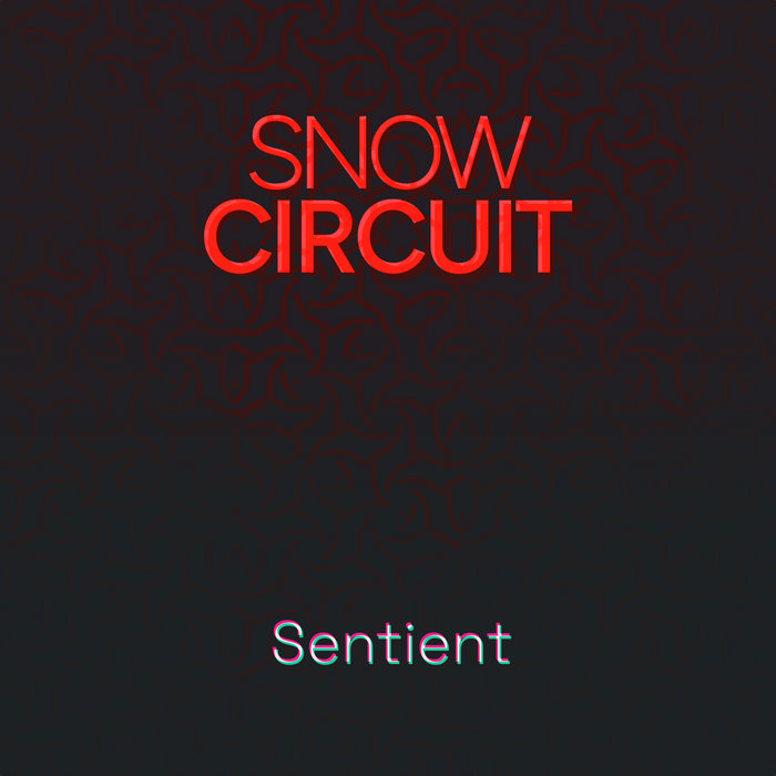 Sentient | Snow Circuit