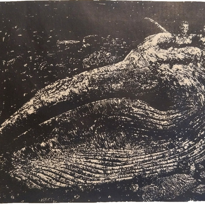 this is progress | Spitting Nails