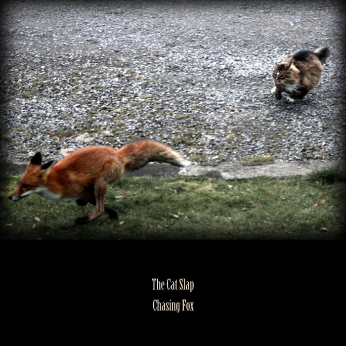 Chasing Fox | The Cat Slap