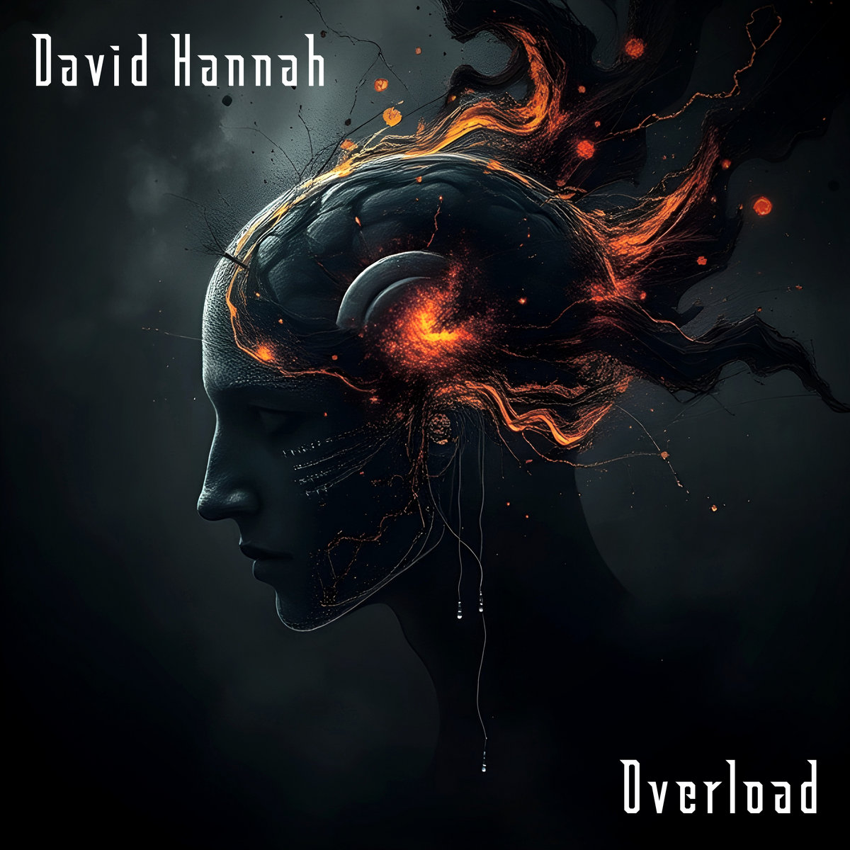 Overload - Single - (2024) | David Hannah | David Hannah Music