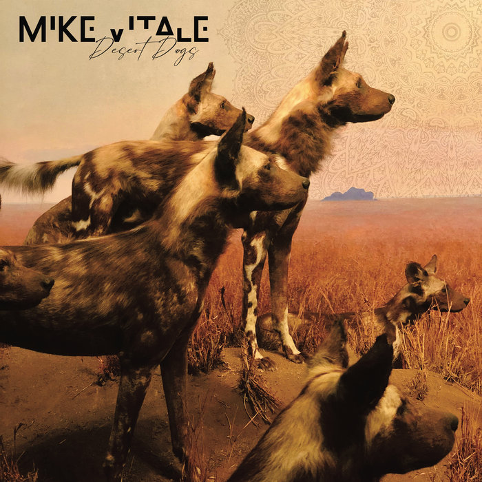 Desert Dogs | Mike Vitale