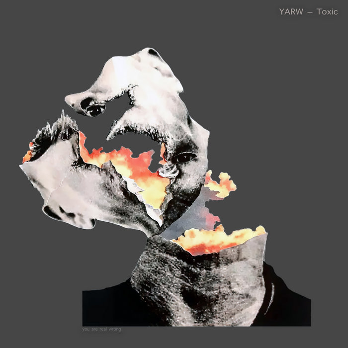 Toxic | Max Gaplevski | Max DetaL' Gaplevski