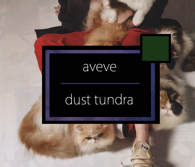 dust tundra | stuckinacomputer