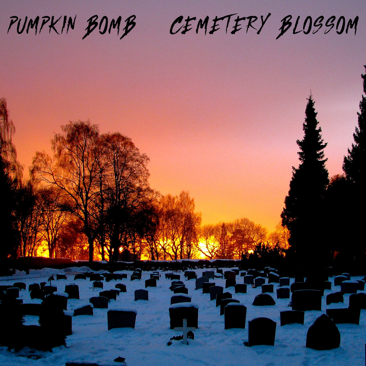 Cemetery Blossom | Pumpkin Bomb