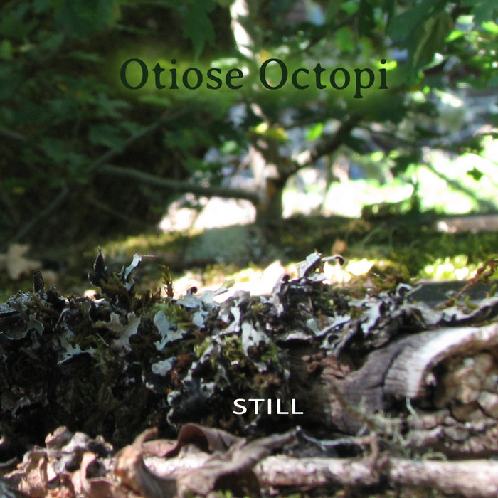 REACT: 13 - Still | OTIOSE OCTOPI | Reactionary