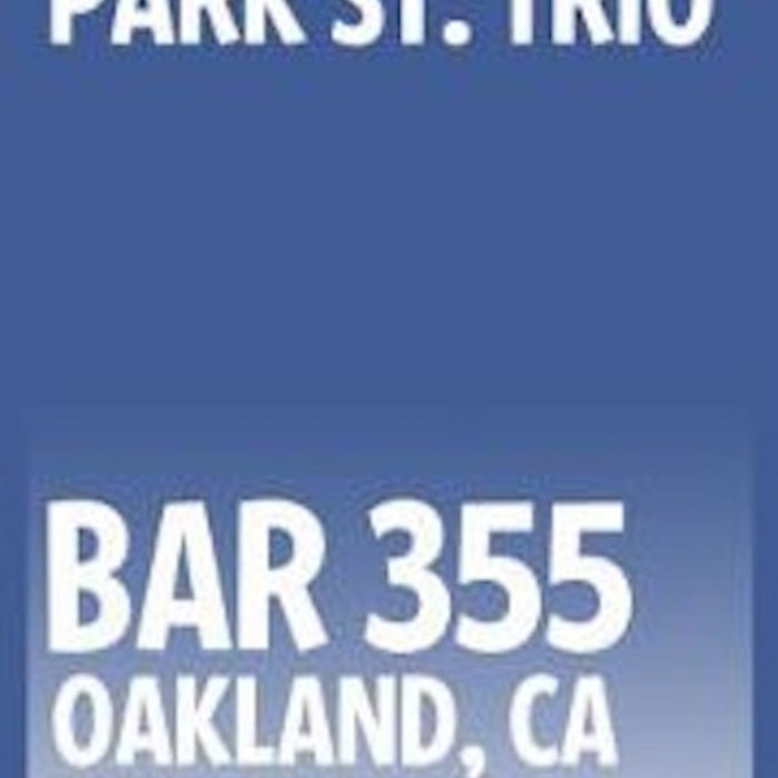 Merry Little Christmas - Live @ Bar 355 | Park St. Trio