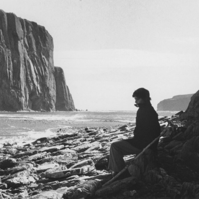 Went To The Sea | Ellen Stekert