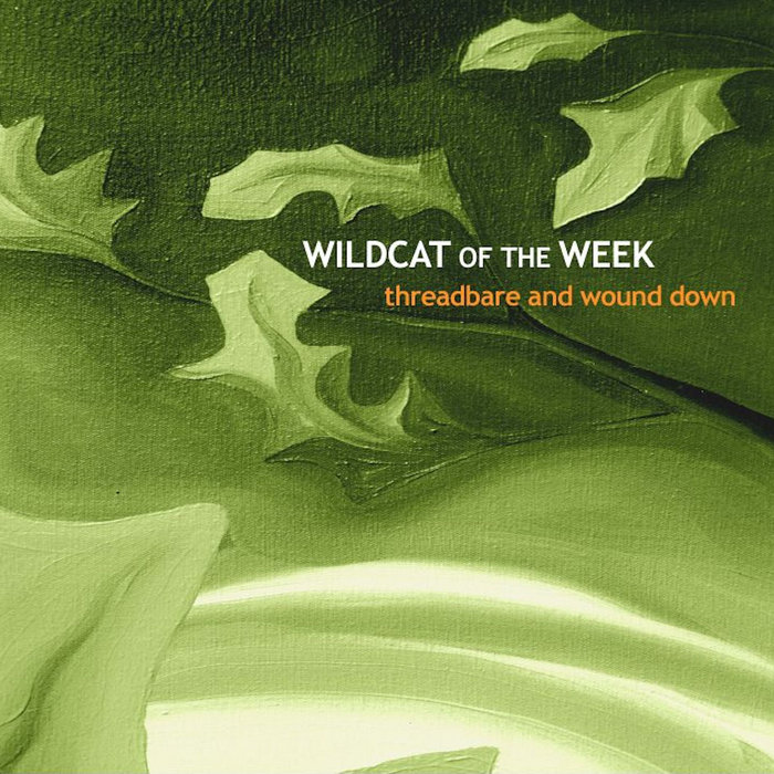 Wildcat of the Week | Dave DA