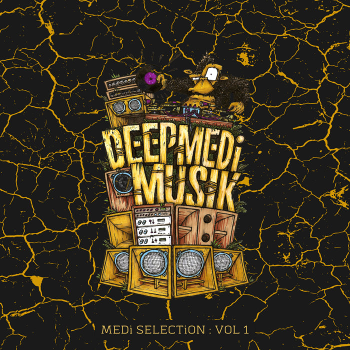 MEDi SELECTiON: VOL 1 | Deep Medi Musik